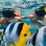 A private tour with Blue Lagoon - Itinerary Breakdown: What to Expect at Each Stop