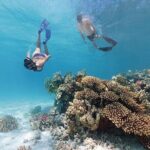 A Private TURTLE Tour on Rarotonga with Photography and Transfers - What Makes the Experience Special?