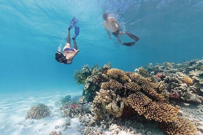 A Private TURTLE Tour on Rarotonga with Photography and Transfers - What Makes the Experience Special?