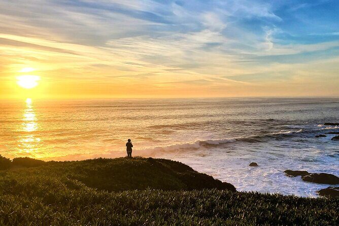A Self-Guided Audio Tour Around Bodega Head - Authentic Feedback and Insights