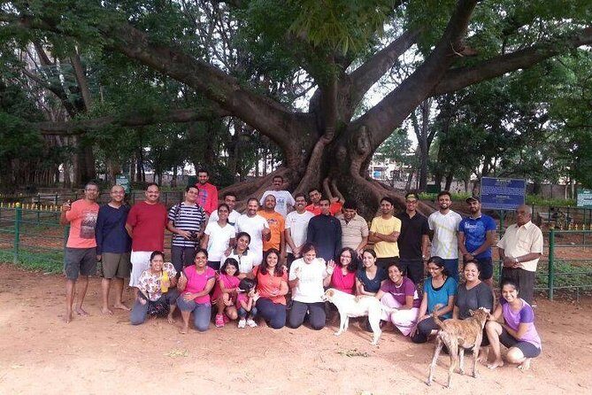 A Trail Through Parks Of Bangalore - Cubbon Park: Bangalore’s Victorian Affair