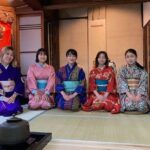 A Unique Antique Kimono and Tea ceremony Experience in English - The Experience: What You Can Expect