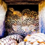 A unique tour! Visiting Hacienda Casa herradura From Guadalajara - Final Thoughts
