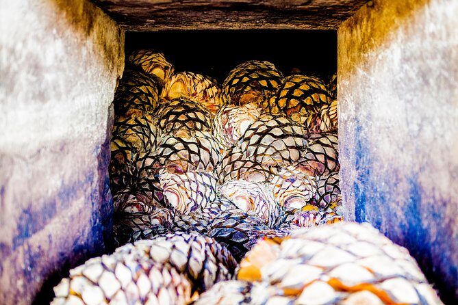 A unique tour! Visiting Hacienda Casa herradura From Guadalajara - Final Thoughts
