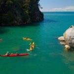 Abel Tasman Adventure Private Tour from Nelson Cruise Port - Why This Tour Stands Out