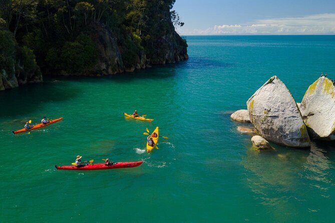 Abel Tasman Adventure Private Tour from Nelson Cruise Port - Why This Tour Stands Out