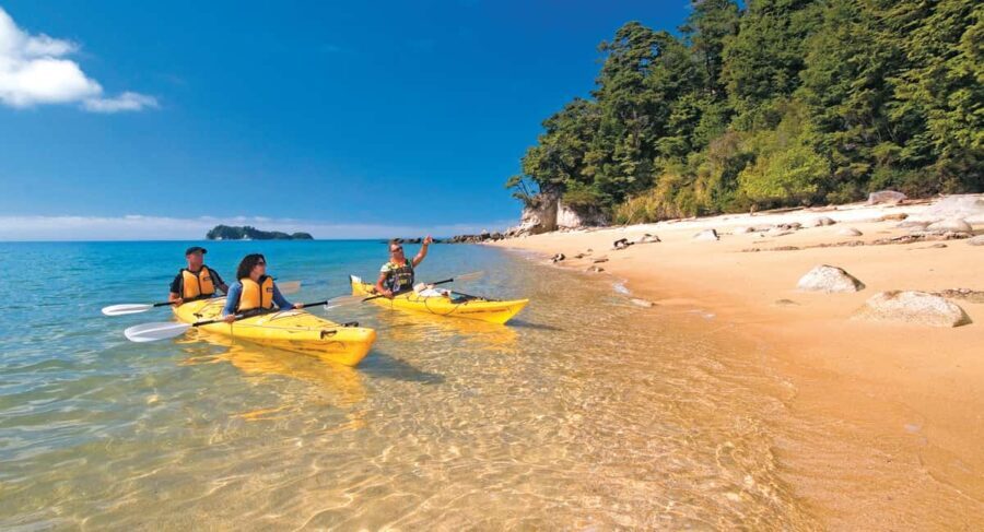 Abel Tasman Kayaks: 3 Day Kayak and Walk North - What Makes This Tour Stand Out