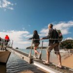Abel Tasman National Park: Cruise and Hike Full-Day Tour - Detailed Itinerary Breakdown