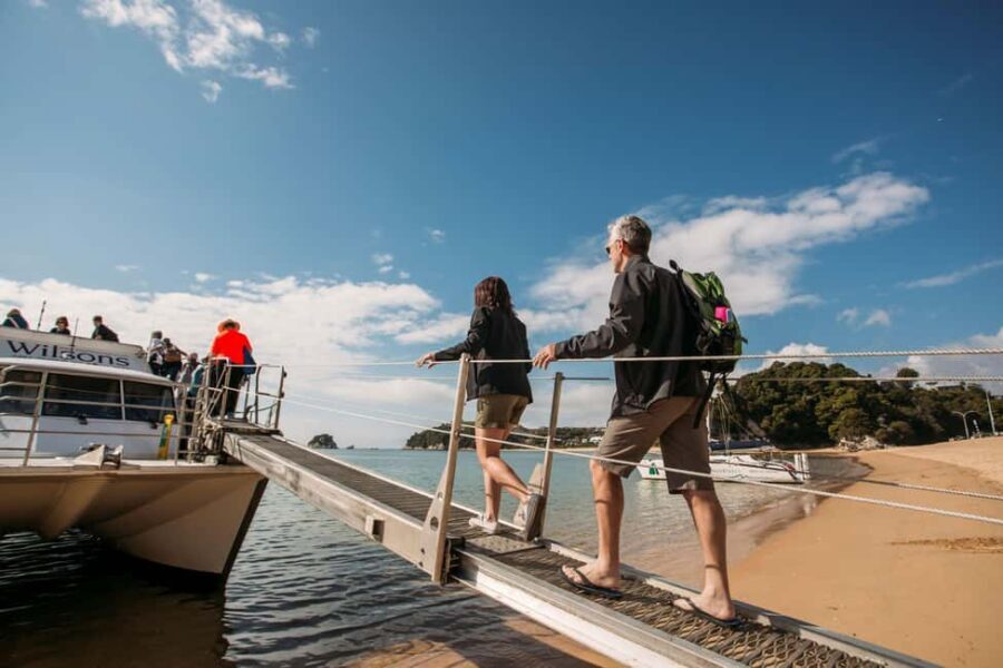 Abel Tasman National Park: Cruise and Hike Full-Day Tour - Detailed Itinerary Breakdown
