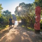 Abel Tasman National Park: Waka & Walk Tour - Transport, Group Size, and Overall Value