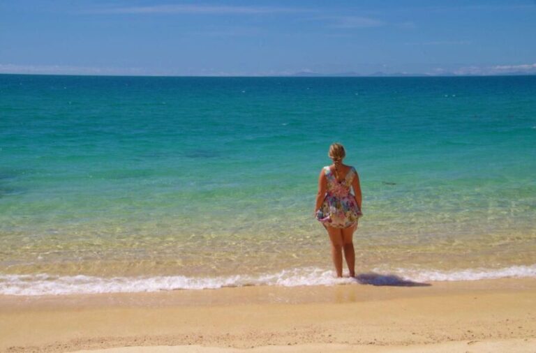 Abel Tasman: Sea Shuttle Cruise and Walking Tour Combo - The Sum Up