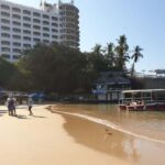 -Acapulco: Beach Break Experience with Snorkeling and Lunch - Snorkeling and Paddleboarding: What to Expect