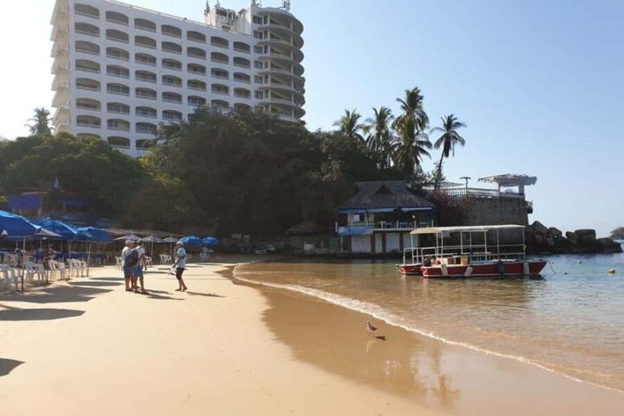 -Acapulco: Beach Break Experience with Snorkeling and Lunch - Snorkeling and Paddleboarding: What to Expect
