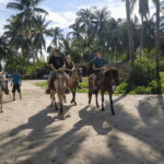 Acapulco: Bonfil Beach Horseback Riding Experience - Who Should Consider This Tour?