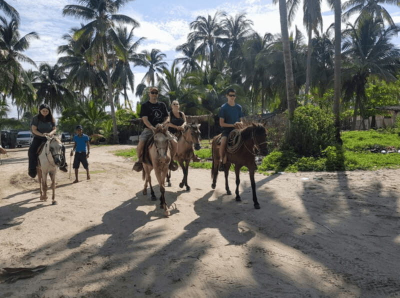 Acapulco: Bonfil Beach Horseback Riding Experience - Who Should Consider This Tour?