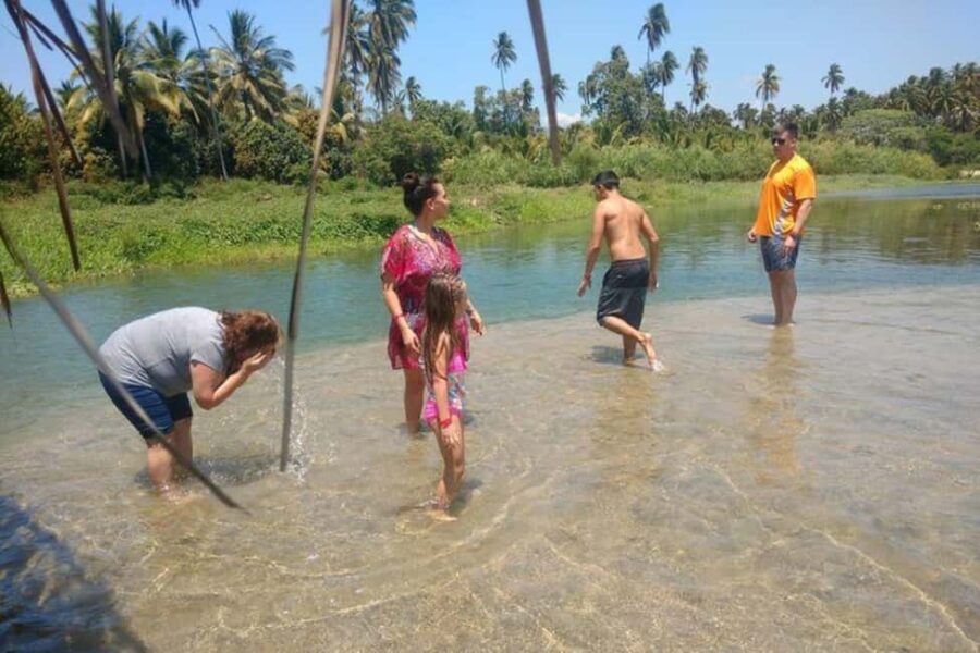-Acapulco: Coyuca Lagoon Boat Ride &Baby Turtle Release Tour - Who Will Love This Tour?