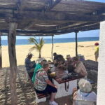 Acapulco: Coyuca Lagoon Tour - Practical Details and What to Expect