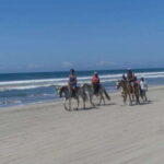 -Acapulco: Horseback Ride Exp. Crocodile Farm, and City Tour - A Practical Look at the Tour Experience