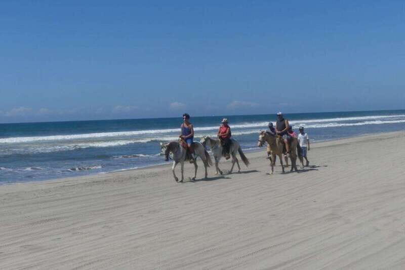 -Acapulco: Horseback Ride Exp. Crocodile Farm, and City Tour - A Practical Look at the Tour Experience