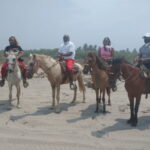Acapulco: Horseback Riding, Turtle Camp, and Crocodile Tour - Authentic and Educational Adventures