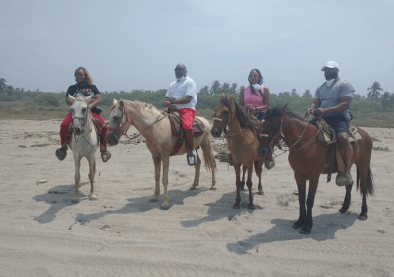 Acapulco: Horseback Riding, Turtle Camp, and Crocodile Tour - Authentic and Educational Adventures