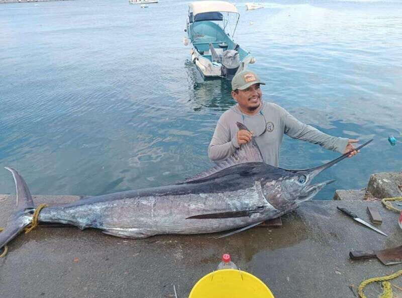 Acapulco: Private Fishing Experience - The Allure of Deep-Sea Fishing in Acapulco