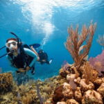 Acapulco: Scuba Diving in Roqueta Island - What You Can Expect from the Tour