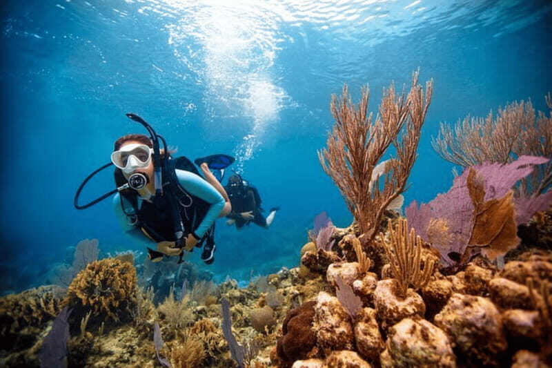 Acapulco: Scuba Diving in Roqueta Island - What You Can Expect from the Tour