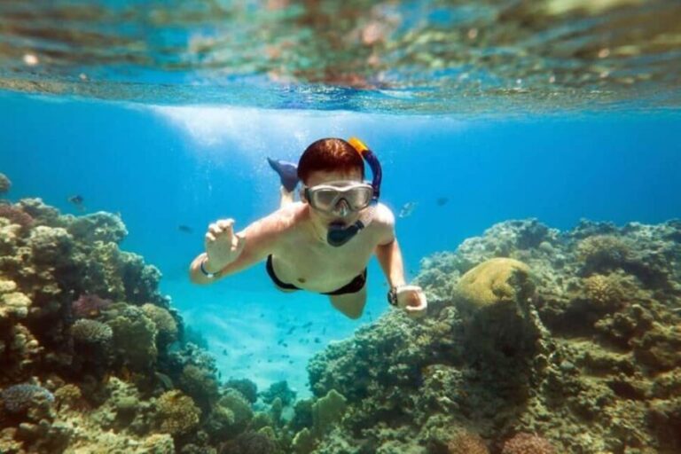 Acapulco: Snorkeling - Why Travelers Value This Experience