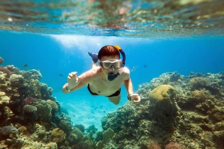 Acapulco: Snorkeling - Why Travelers Value This Experience