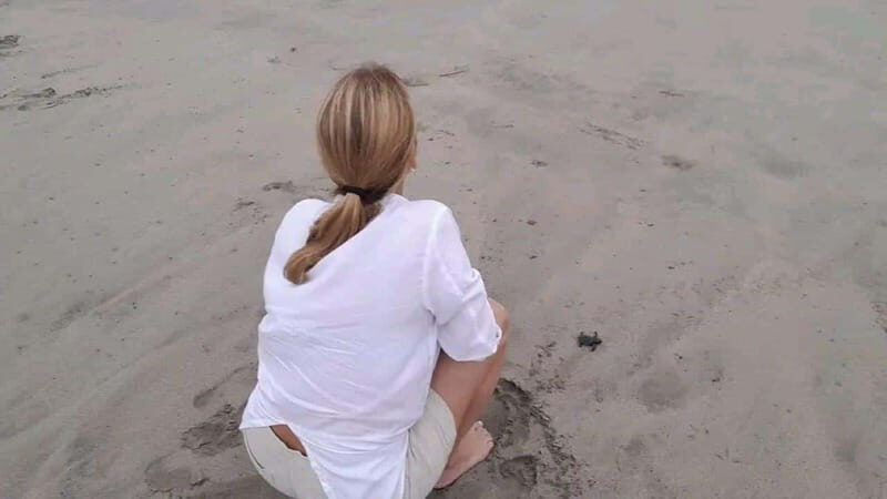 Acapulco: Turtle Release Experience - Practical Details: Transportation, Duration, and Value