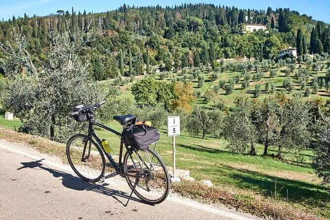 Active Full Day Tuscan Bike Tour With Wine Tasting and Lunch - Value and Practicalities