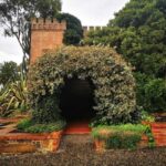 Adelaide: Barossa Private Wine Tour + Your Chosen Tastings - The Cultural Touchstone: German Heritage