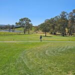 Adelaide City Full-Day Tour - What Does the Price Cover? And Is It Good Value?