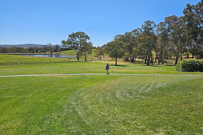 Adelaide City Full-Day Tour - What Does the Price Cover? And Is It Good Value?