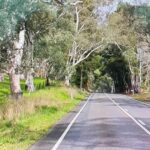 Adelaide City Highlights via Hahndorf Half-Day Tour - In-Depth Look at the Stops