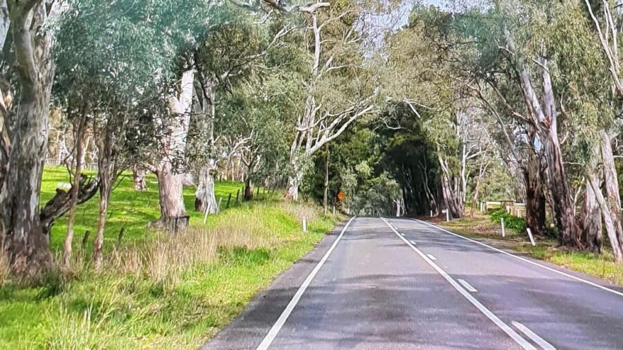 Adelaide City Highlights via Hahndorf Half-Day Tour - In-Depth Look at the Stops