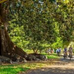 Adelaide City to Sea Bike Tour - Who’s This Tour Perfect For?