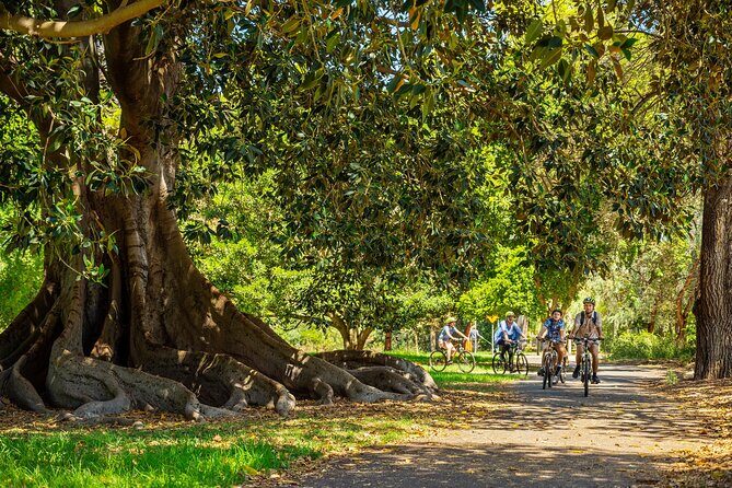 Adelaide City to Sea Bike Tour - Who’s This Tour Perfect For?