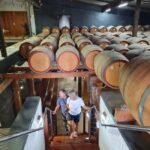 Adelaide Cruise Ship: Koalas & Penfolds & Heritage Day Tour - Value and Practicalities