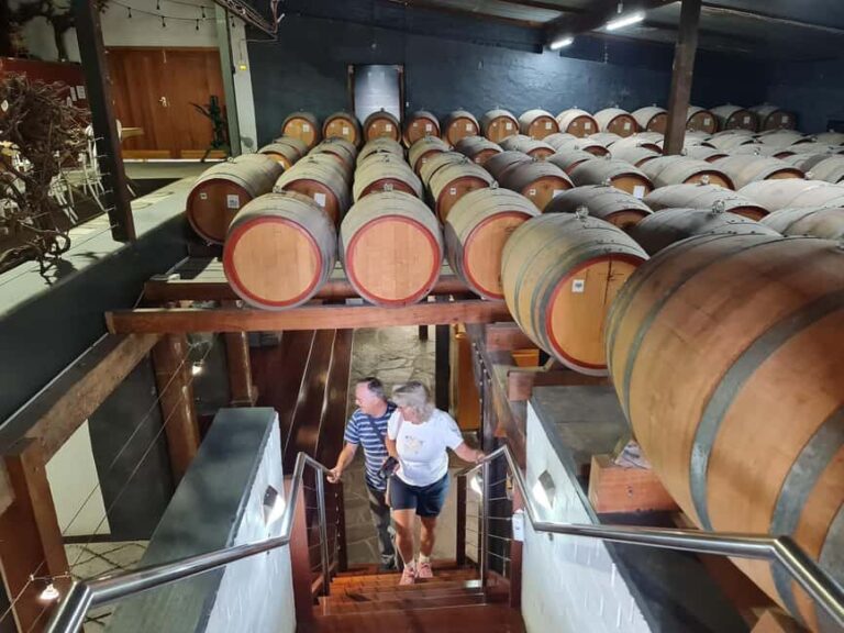 Adelaide Cruise Ship: Koalas & Penfolds & Heritage Day Tour - Value and Practicalities