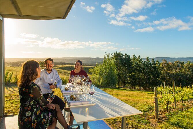 Adelaide Cruise Ship Private Tours - What Makes This Tour Stand Out?