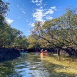 Adelaide: Dolphin Sanctuary 1 or 2-Person Kayak Rental - Frequently Asked Questions