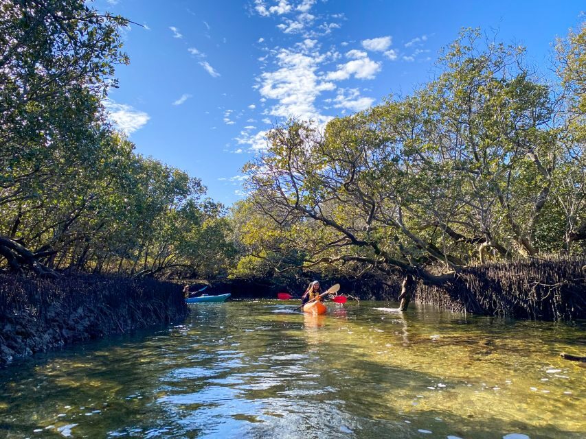 Adelaide: Dolphin Sanctuary 1 or 2-Person Kayak Rental - Frequently Asked Questions