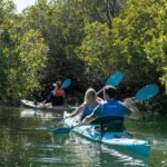 Adelaide: Dolphin Sanctuary Eco Kayaking Tour - What makes this tour stand out?