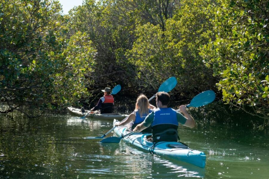Adelaide: Dolphin Sanctuary Eco Kayaking Tour - What makes this tour stand out?