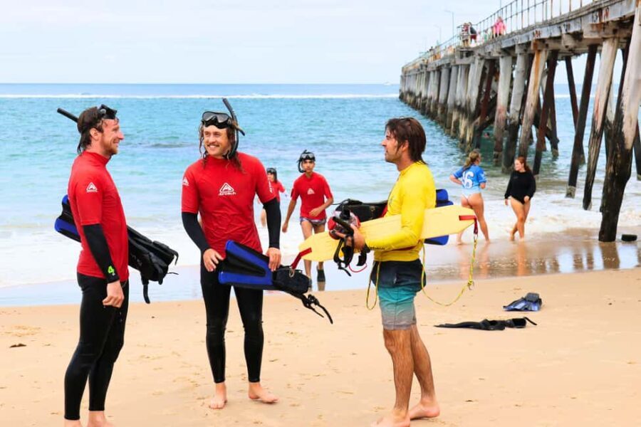 Adelaide: Fleurieu Snorkel & Beer Safari - Snorkeling at Port Noarlunga