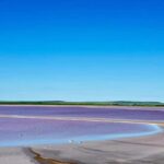 Adelaide Highlights: Wine, Whispering Wall & Pink Lake Tour - Analyzing the Value