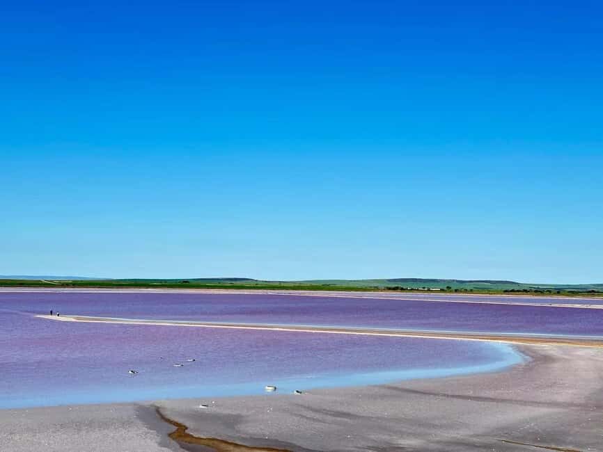 Adelaide Highlights: Wine, Whispering Wall & Pink Lake Tour - Analyzing the Value