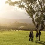 Adelaide Hills and Hahndorf Hop-On-Hop-Off Tour - Is It Worth the Price?